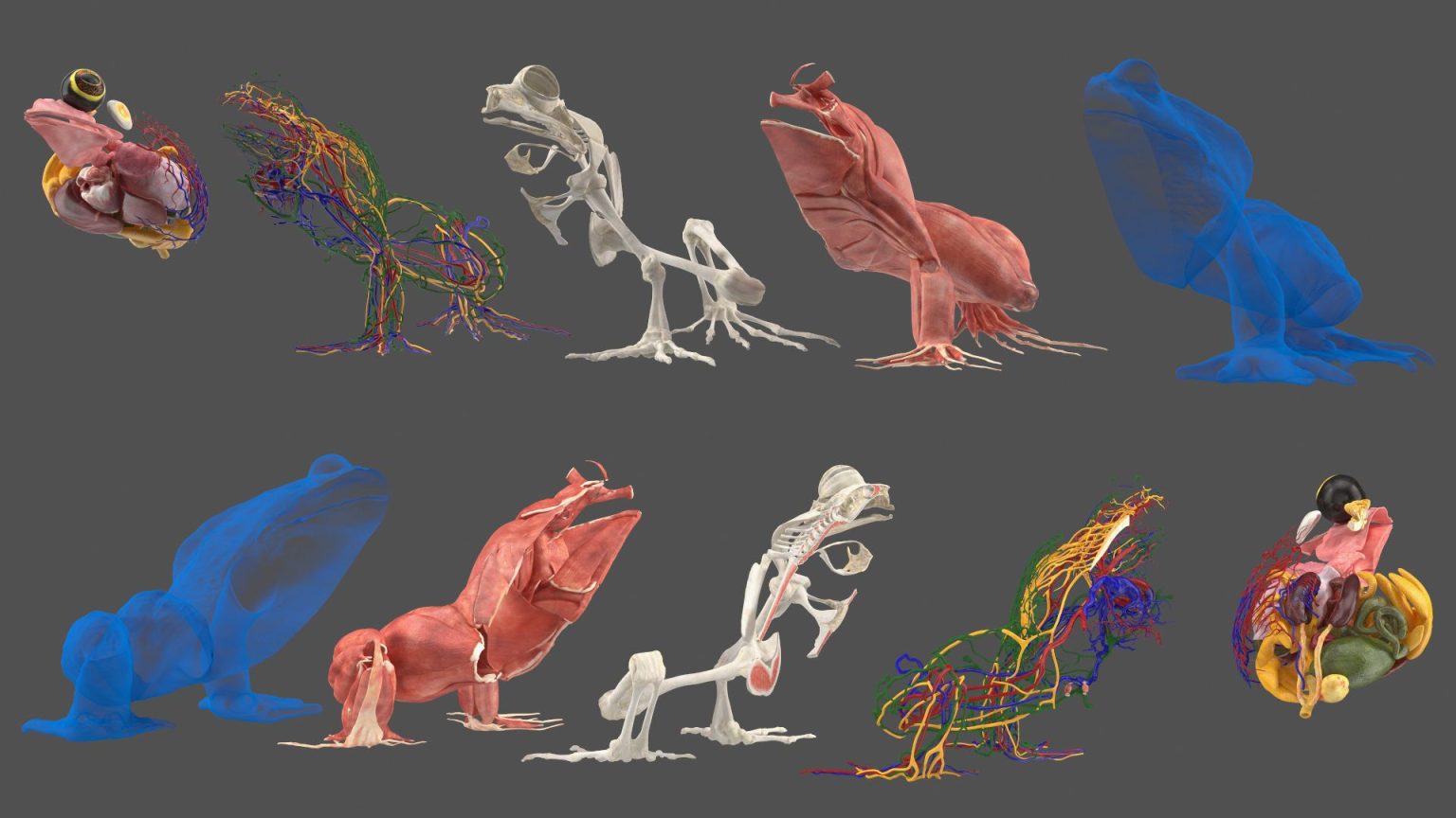 How to Create 3D Prints Using Cura: A Step-by-Step Guide